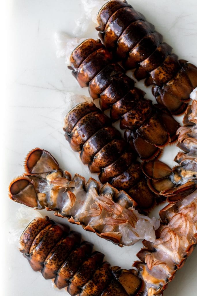 Summer Lobster and Corn Rigatoni - Cooking with Cocktail Rings