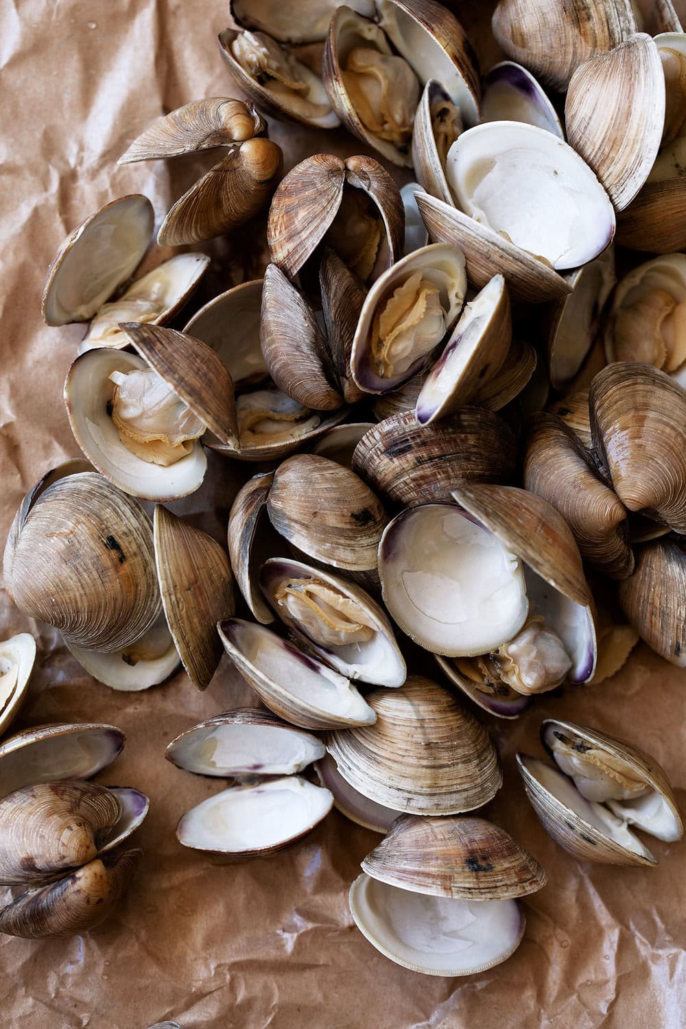New England Clam Chowder - Cooking with Cocktail Rings