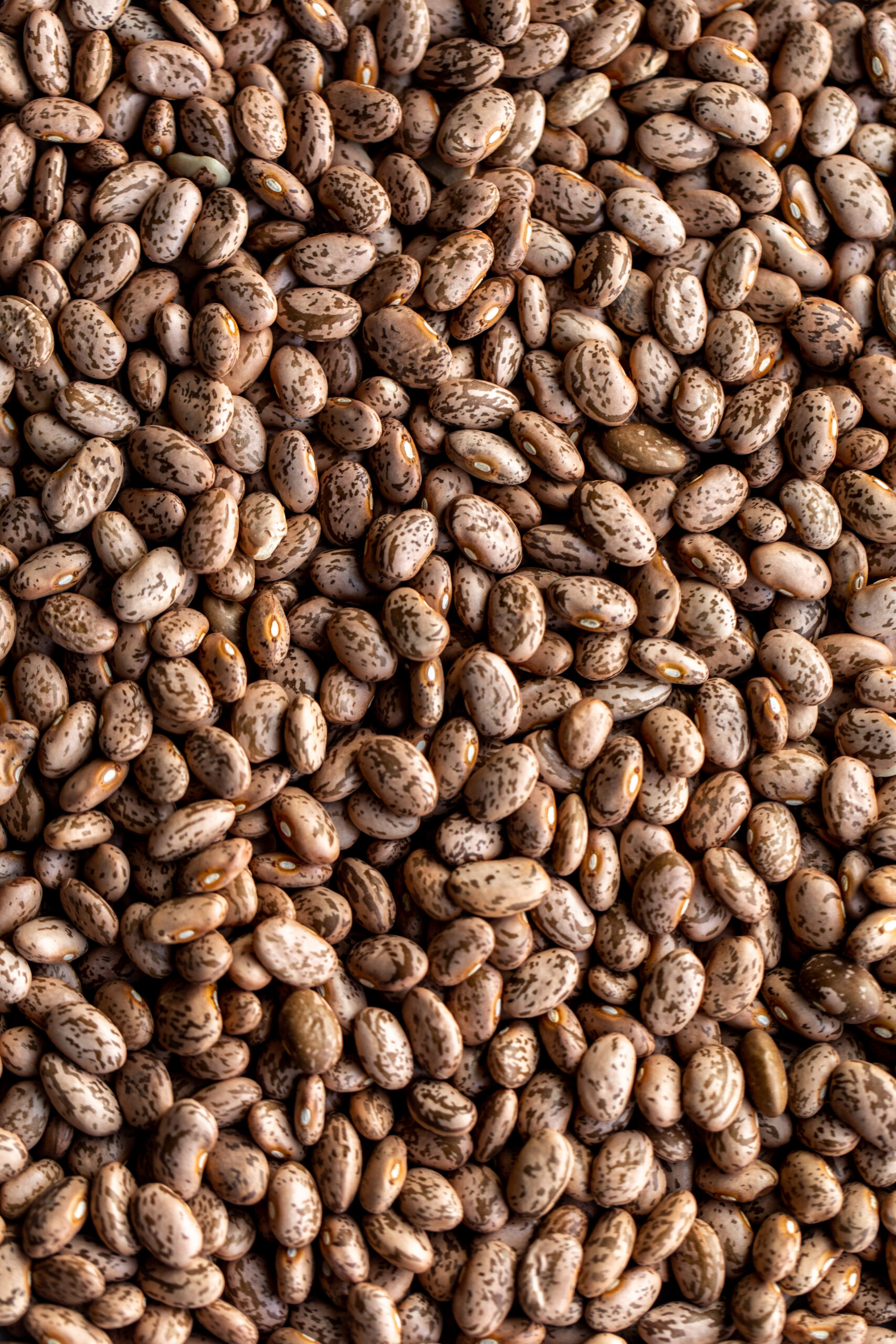 How to Make Pinto Beans - Cooking with Cocktail Rings