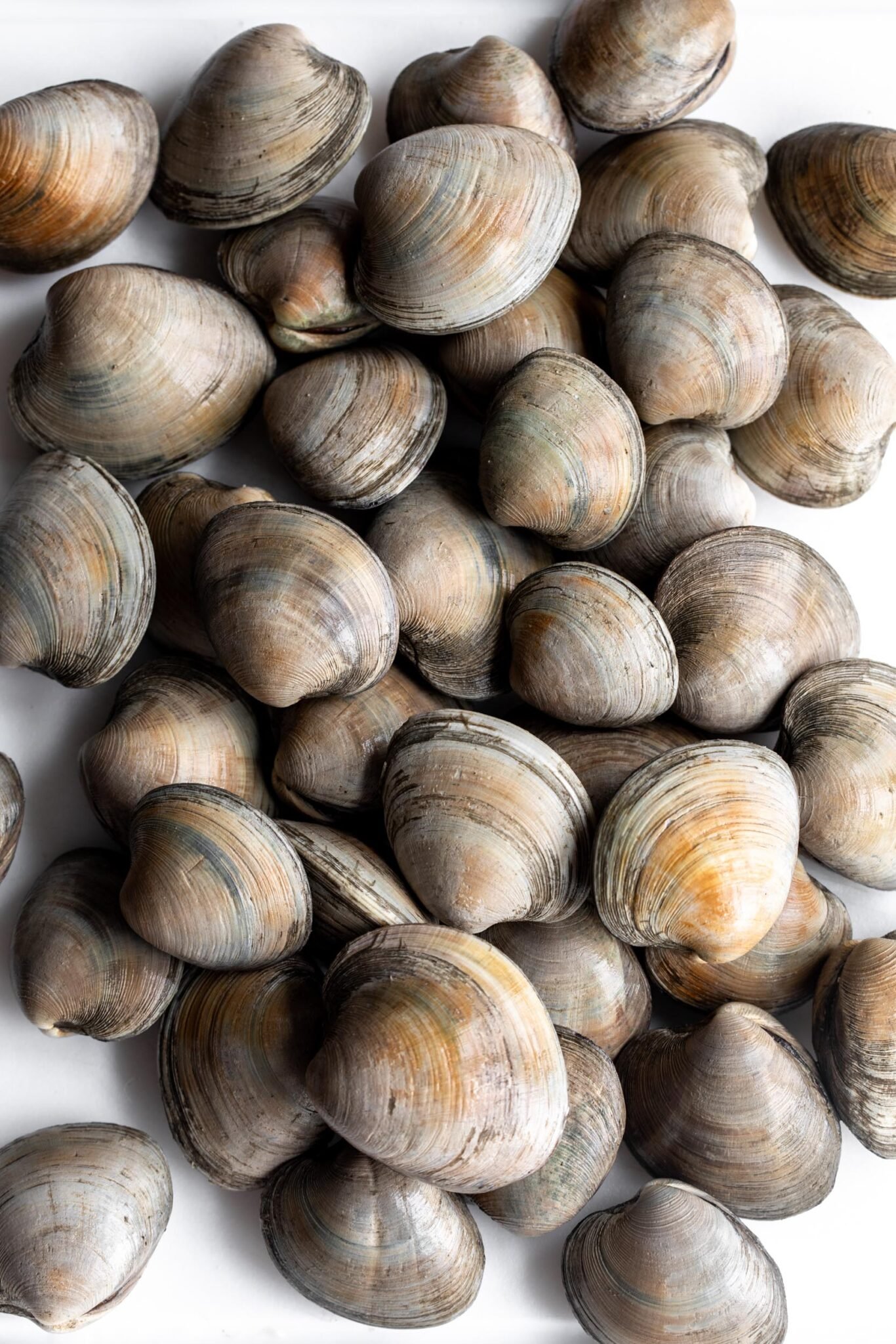 New England Clam Chowder - Cooking with Cocktail Rings