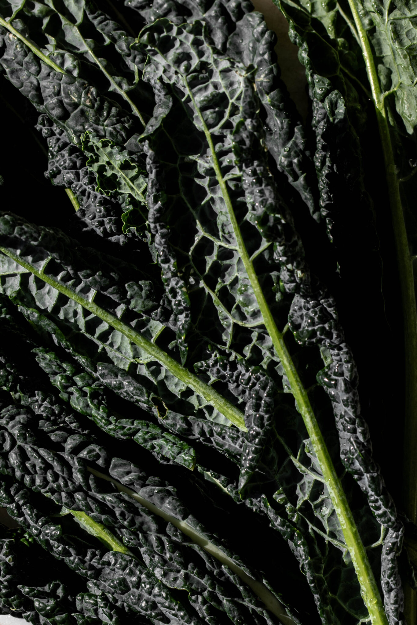 Kale Harvest Grain Bowl - Cooking with Cocktail Rings